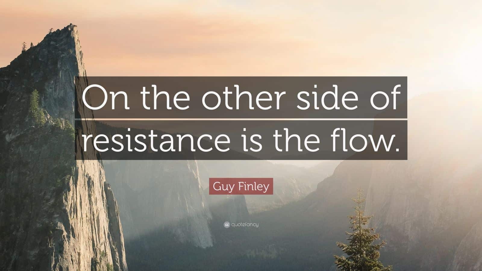 Stop Resisting Your Life - The Christian Meditator | Biblical ...